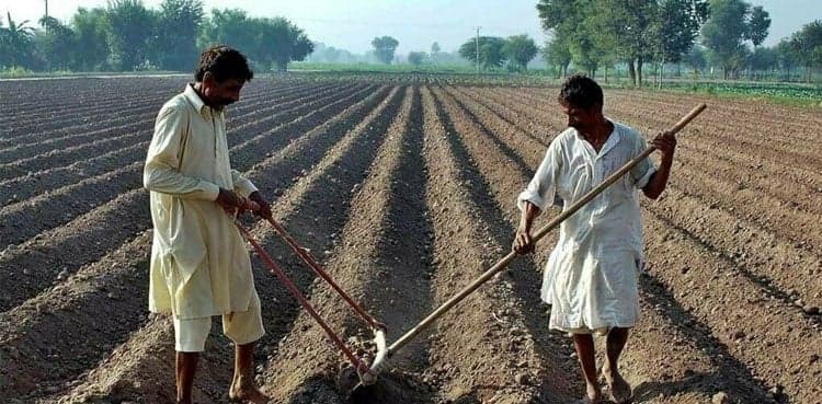 Budget 2026–27 to offer relief for salaried class, farmers